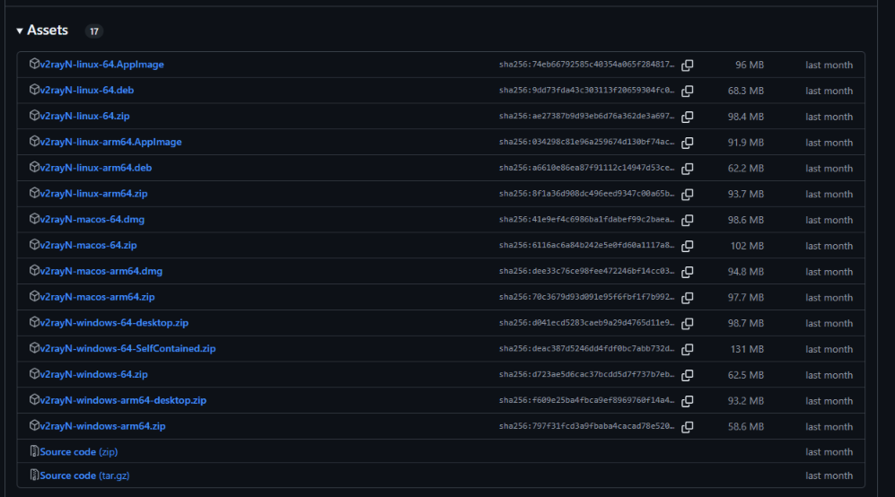 Как настроить VPN на Windows с помощью v2rayN